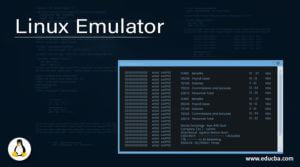 Linux Emulator | Guide to Different Types of Linux Emulator