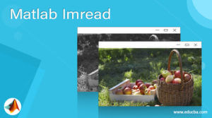 Matlab Imread | Learn the different examples of Matlab Imread Function