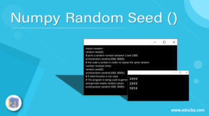 Numpy Random Seed () | How can the Numpy Random Seed be Utilized?