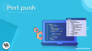 Perl push | Working of the push() function in Perl with examples