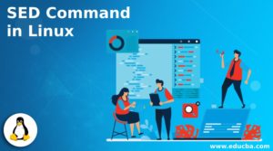 SED Command in Linux | Different Examples of SED Command in Linux