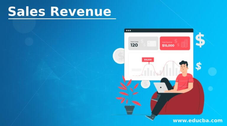 Sales Revenue | Examples and Explanation of Sales Revenue