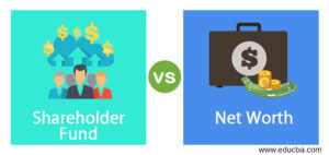 shareholder fund vs net worth | Top 7 differences to learn