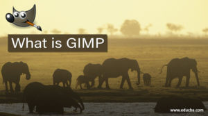 What is GIMP | Why do we Use GIMP? | Working | Features
