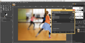 Blur Effect in GIMP | Illustrations to create Blur Effect in GIMP