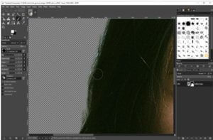 GIMP Change Background Color | Steps to Change Background Color