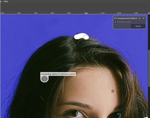 GIMP Change Background Color | Steps to Change Background Color