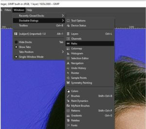 GIMP Change Background Color | Steps to Change Background Color