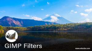 GIMP Filters | Learn the Important Filters of Gimp and How to use it?