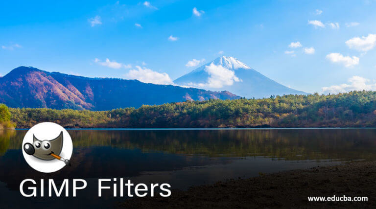 GIMP Filters | Learn the Important Filters of Gimp and How to use it?