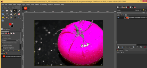 GIMP Floating Selection | How to Perform Floating Selection in GIMP?