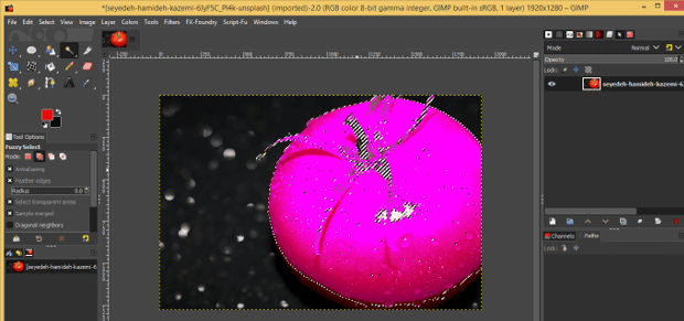 GIMP Floating Selection | How to Perform Floating Selection in GIMP?