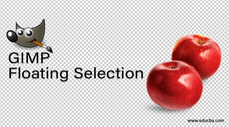 GIMP Floating Selection | How to Perform Floating Selection in GIMP?