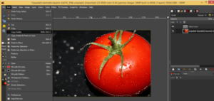 GIMP Floating Selection | How to Perform Floating Selection in GIMP?