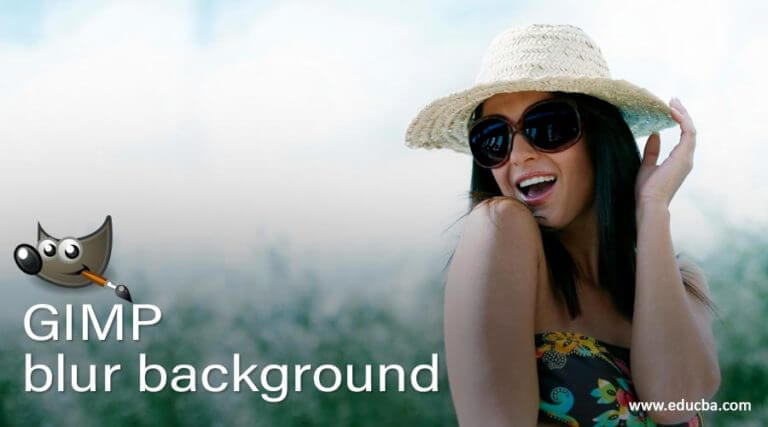 GIMP blur background | Different Steps of GIMP blur background