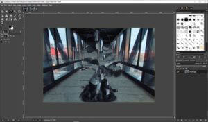 GIMP blur background | Different Steps of GIMP blur background