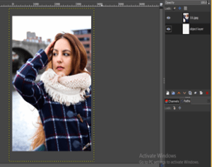 GIMP Crop | Learn How to do Crop in GIMP with Important Aspect?