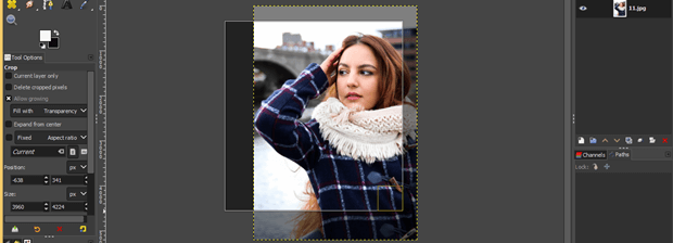 GIMP Crop | Learn How to do Crop in GIMP with Important Aspect?