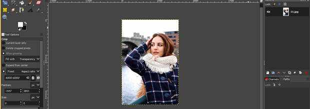GIMP Crop | Learn How to do Crop in GIMP with Important Aspect?