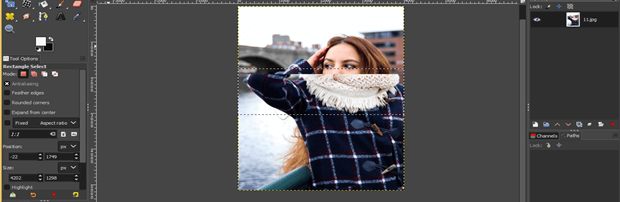 GIMP Crop | Learn How to do Crop in GIMP with Important Aspect?
