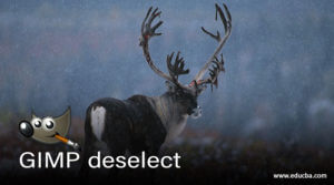 GIMP deselect | Learn How to Deselect in GIMP with Important aspects?