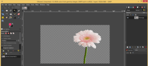 GIMP erase to transparent | How to ‘Erase to transparent’ process in GIMP