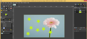 GIMP erase to transparent | How to ‘Erase to transparent’ process in GIMP
