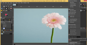 GIMP erase to transparent | How to ‘Erase to transparent’ process in GIMP