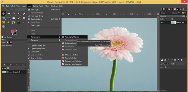 Taupot sszezsugorodik ll t lagos Gimp Make Eraser Transparent Erotikus Bolond Hat sos