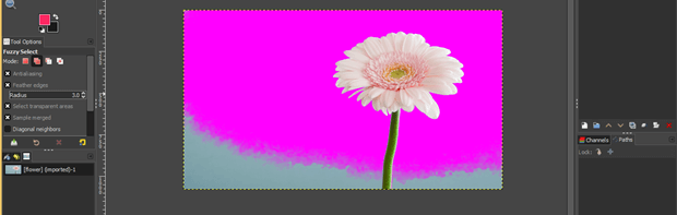 GIMP erase to transparent | How to ‘Erase to transparent’ process in GIMP