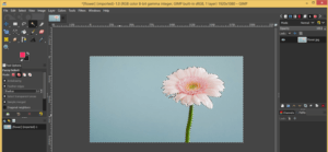 GIMP erase to transparent | How to ‘Erase to transparent’ process in GIMP