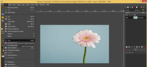 GIMP erase to transparent | How to ‘Erase to transparent’ process in GIMP
