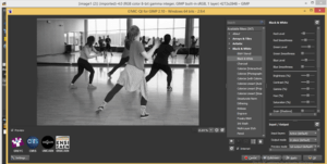 GIMP GMIC | Learn How to install and use GMIC in GIMP?