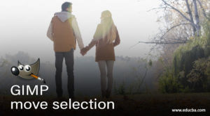GIMP move selection | How we can perform move selection in GIMP?