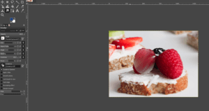 GIMP move selection | How we can perform move selection in GIMP?