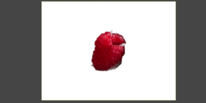 GIMP move selection | How we can perform move selection in GIMP?