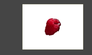 GIMP move selection | How we can perform move selection in GIMP?