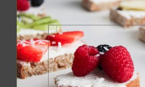 GIMP move selection | How we can perform move selection in GIMP?