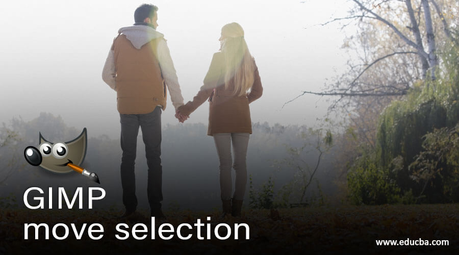 GIMP Move Selection How We Can Perform Move Selection In GIMP 