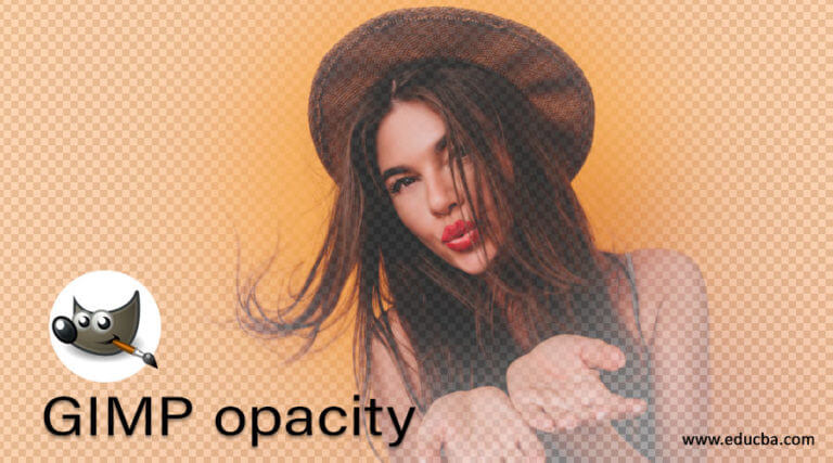 GIMP opacity | Learn How to Use the Opacity in GIMP?