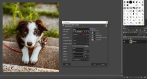 GIMP opacity | Learn How to Use the Opacity in GIMP?