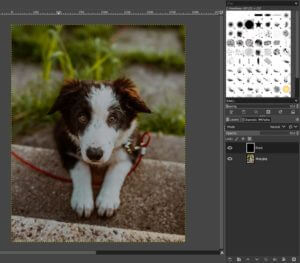 GIMP opacity | Learn How to Use the Opacity in GIMP?