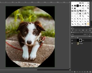 GIMP opacity | Learn How to Use the Opacity in GIMP?