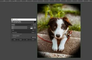GIMP opacity | Learn How to Use the Opacity in GIMP?