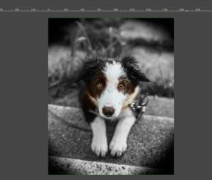 GIMP opacity | Learn How to Use the Opacity in GIMP?