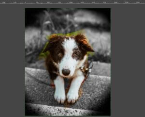 GIMP opacity | Learn How to Use the Opacity in GIMP?