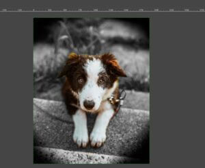 GIMP opacity | Learn How to Use the Opacity in GIMP?