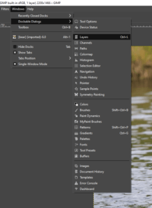GIMP opacity | Learn How to Use the Opacity in GIMP?