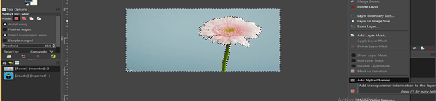 GIMP remove background | Learn How to Remove Background in GIMP?