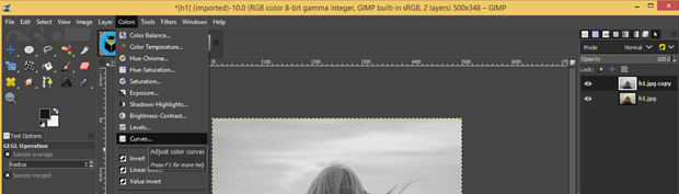 GIMP remove background | Learn How to Remove Background in GIMP?